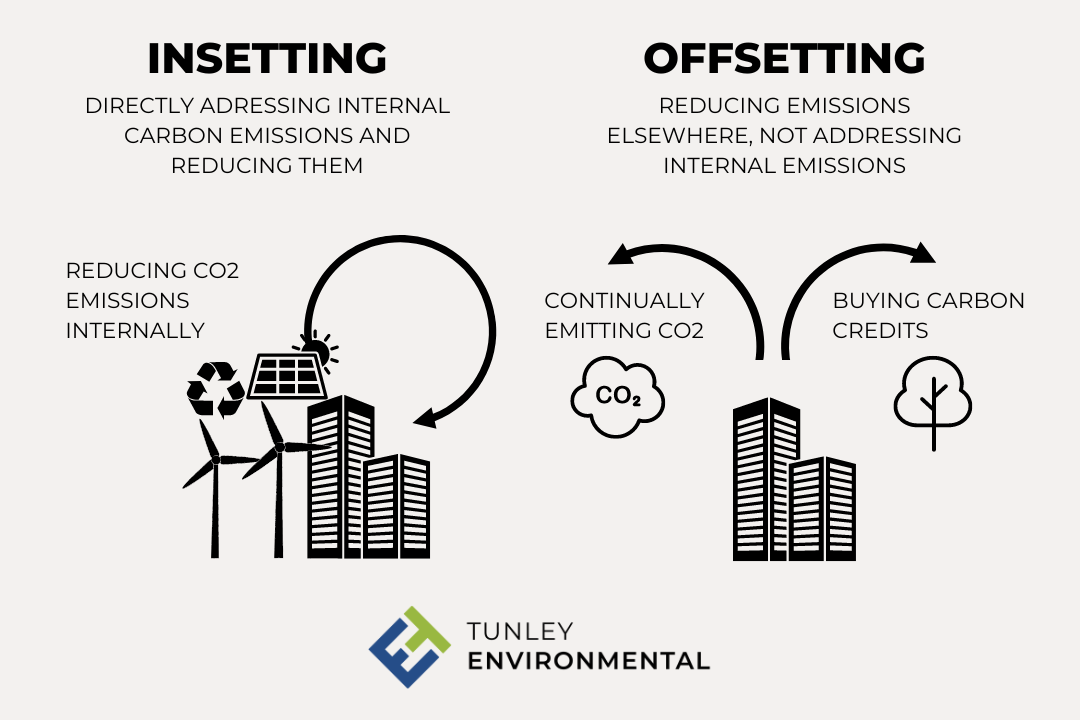 The Difference Between Carbon Insetting and Carbon Offsetting